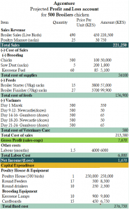 How Profitable is Broiler farming in Kenya 2026? | Agcenture