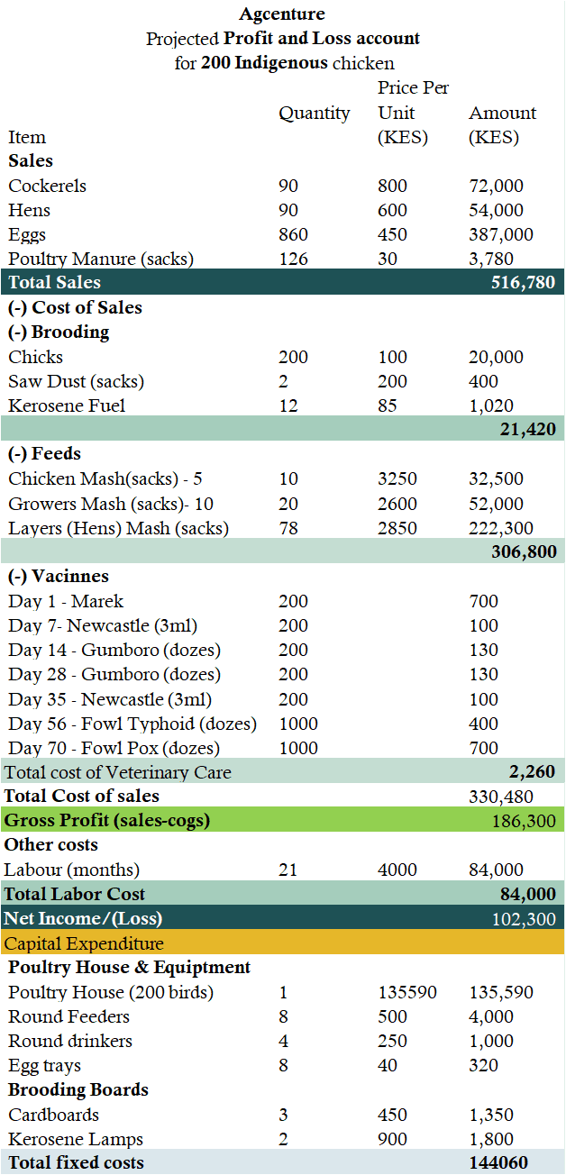 Cost of rearing 100 Kienyeji chicken in Kenya | Agcenture.com