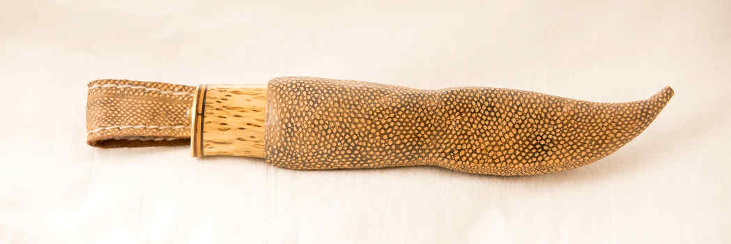 Making exotic fish leather from waste skins Agcenture
