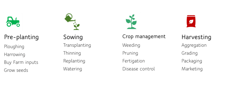How to make and use a Crop Calendar | Agcenture