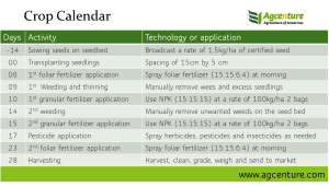 How to make and use a Crop Calendar | Agcenture