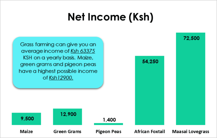 Is Hay Farming in Kenya Really Profitable? | Agcenture